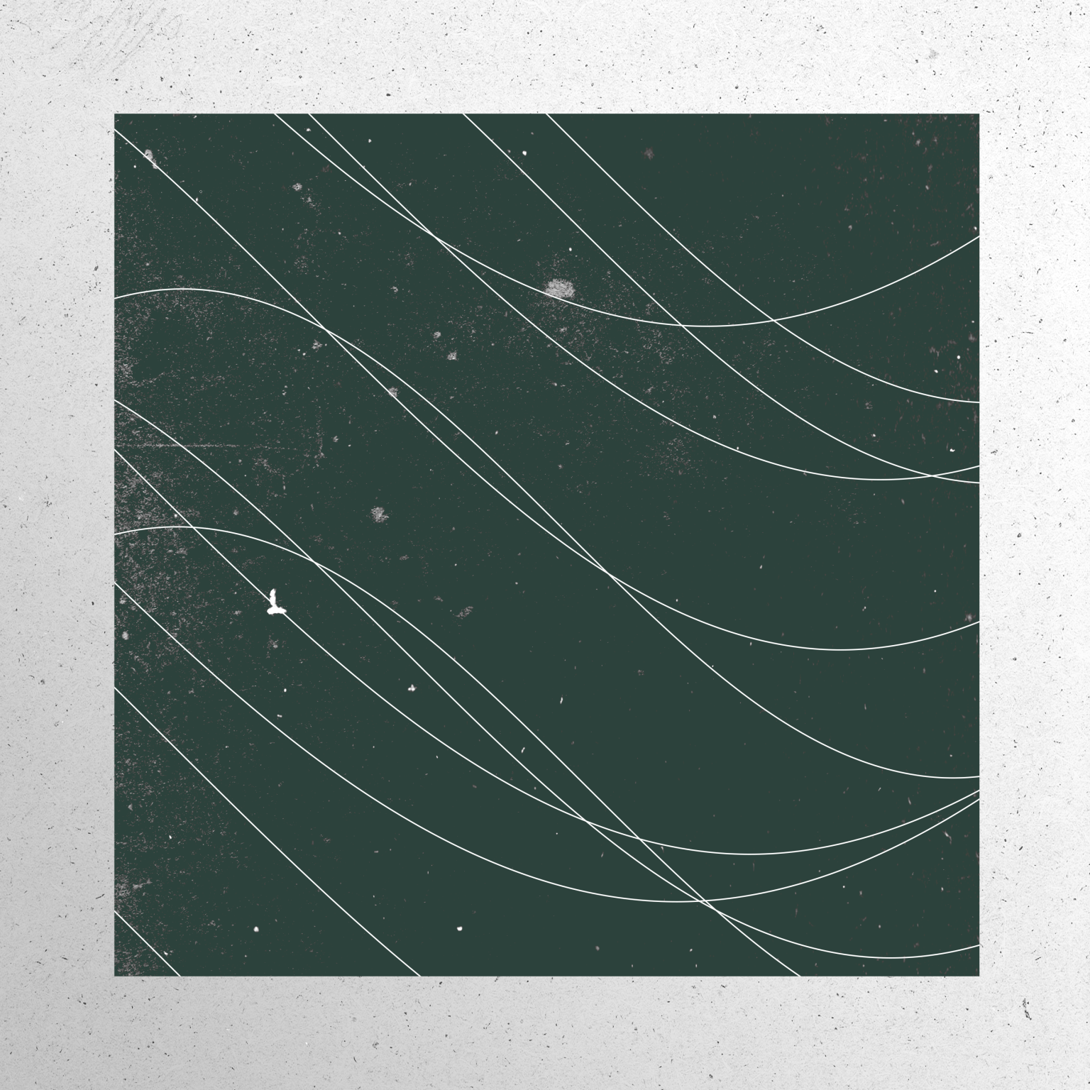 CJSW Radio – Calgary's only Campus & Community Radio Station