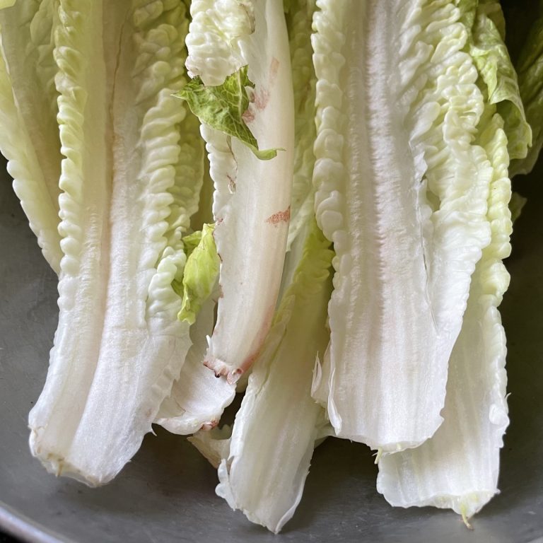 Programming – CJSW Radio