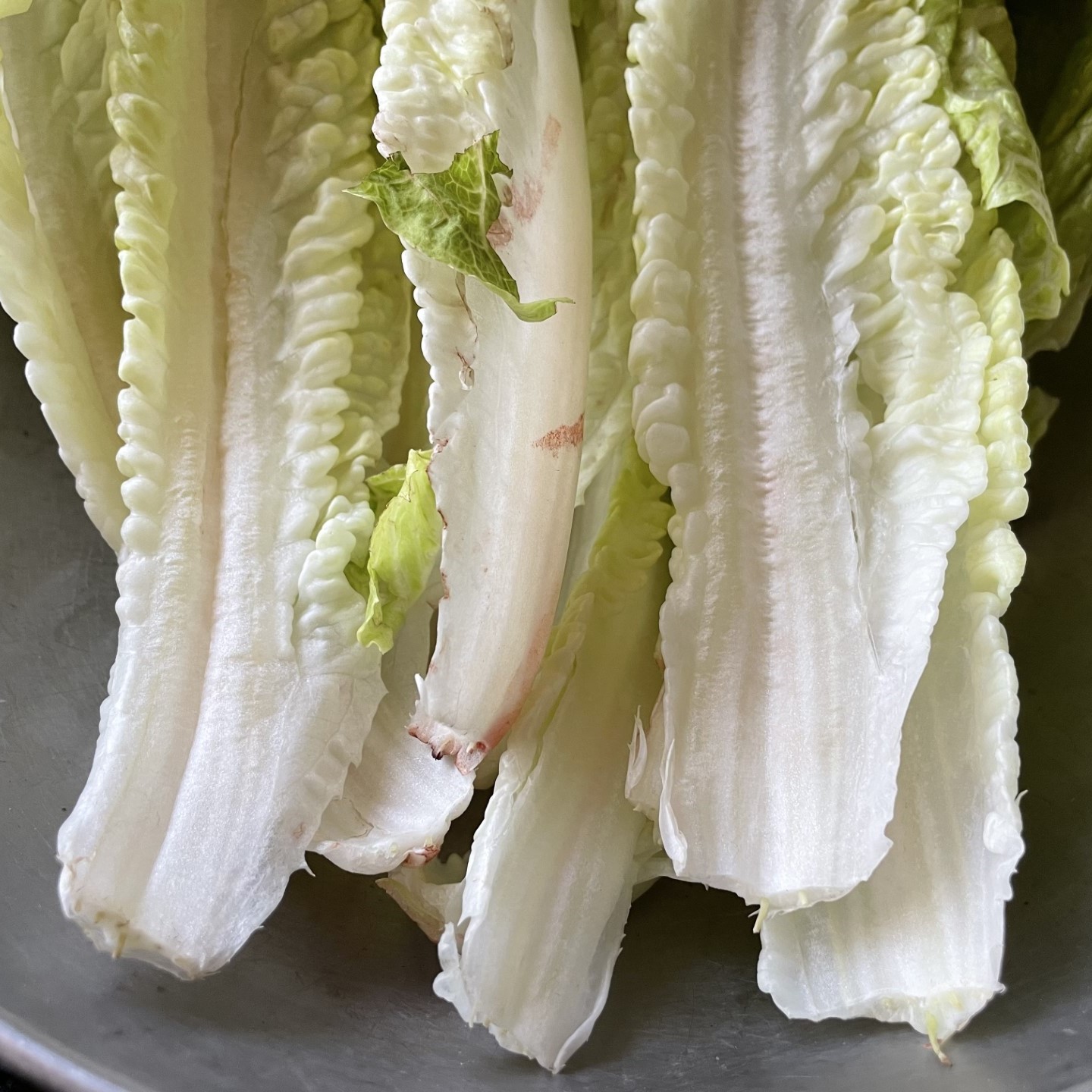 CantoStars – Episode June 22, 2025 – CJSW Radio