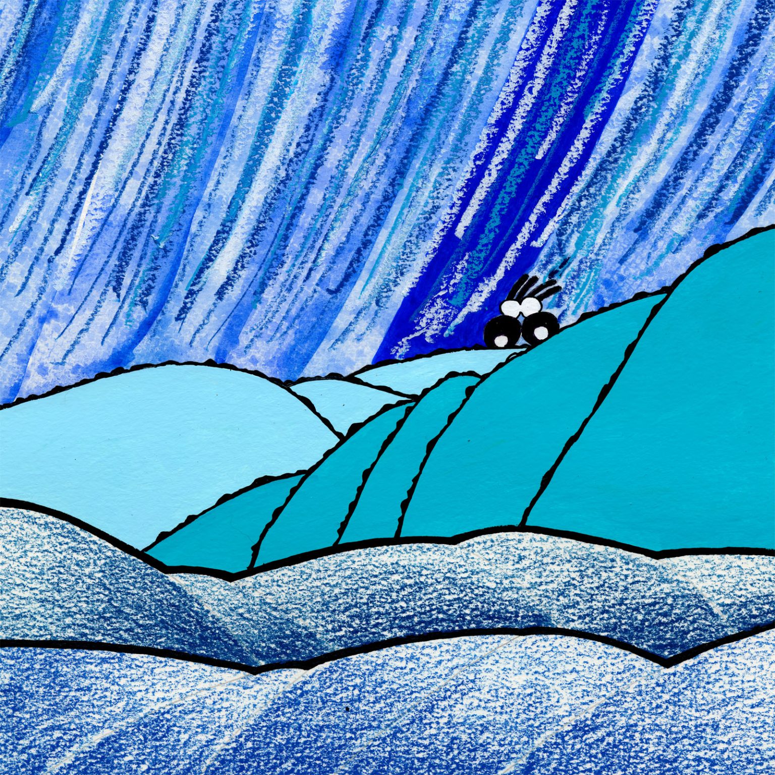 CJSW Radio – Calgary's only Campus & Community Radio Station